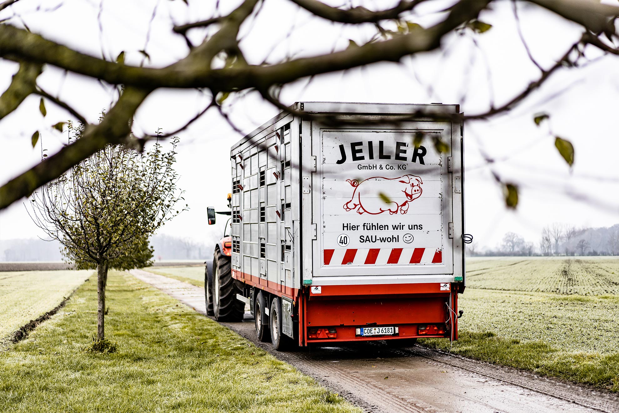 Aktuelles - Jeiler | Jeiler